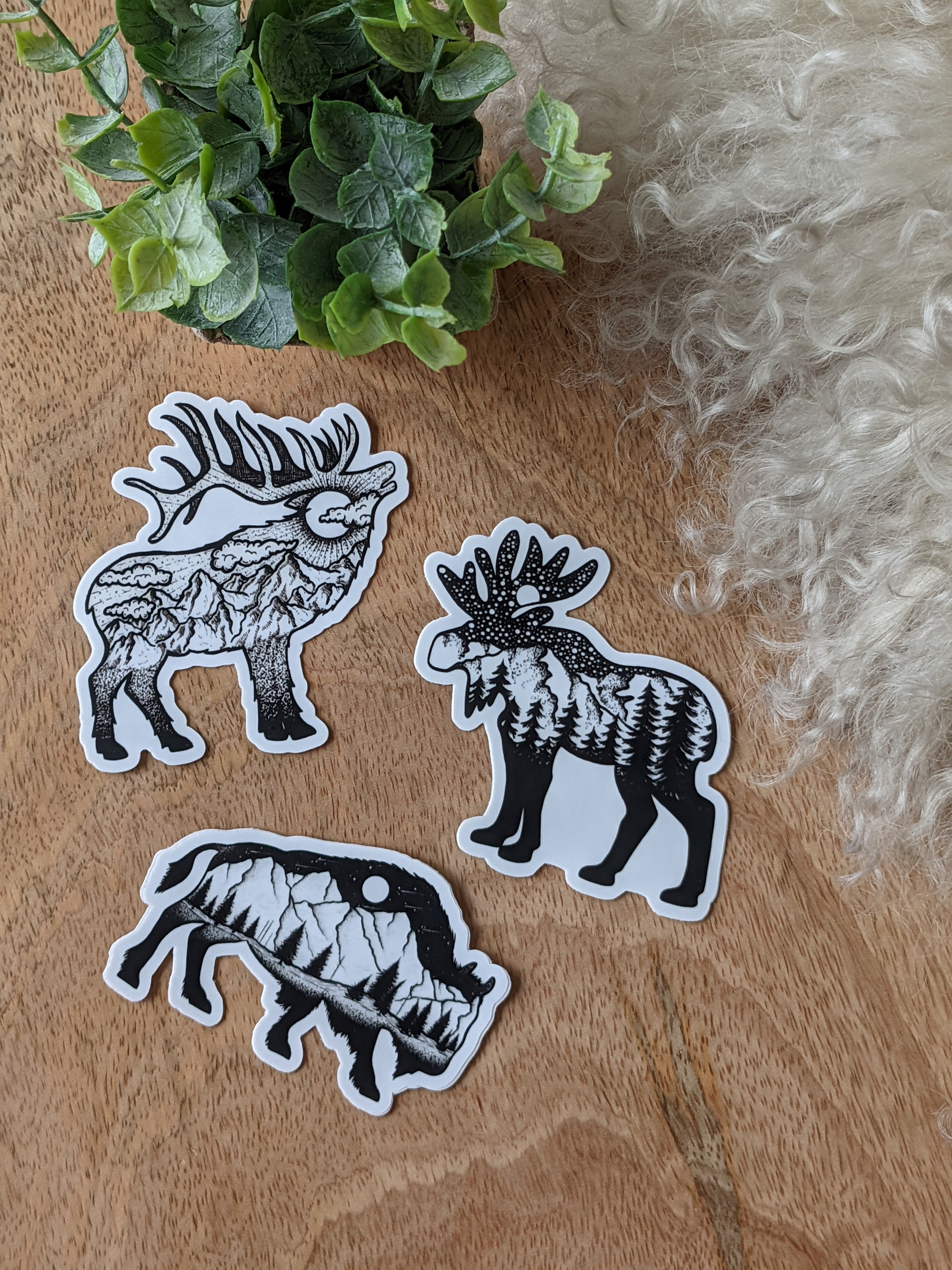 Herbivores Vinyl Sticker Collection Bundle of 3 - Etsy