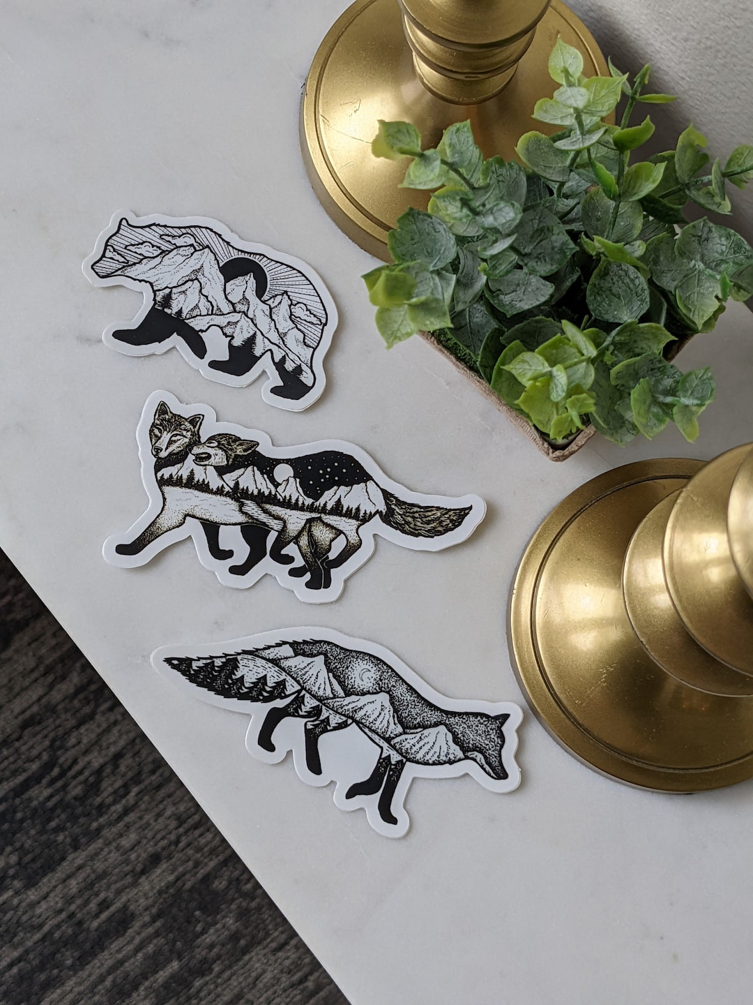 Carnivores Vinyl Sticker Collection - Bundle of 3 - Etsy