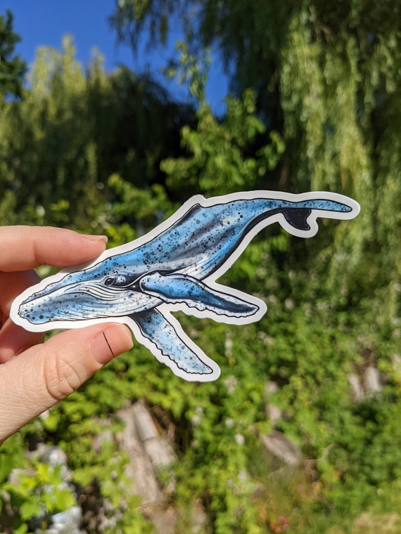 Blue Whale Vinyl Sticker | Etsy