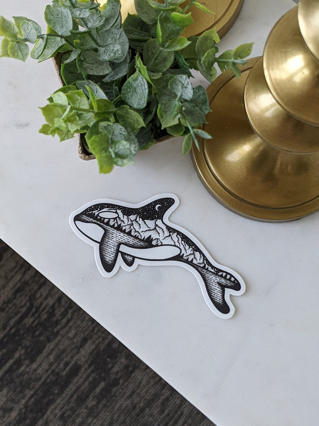 Orca Vinyl Sticker - Etsy