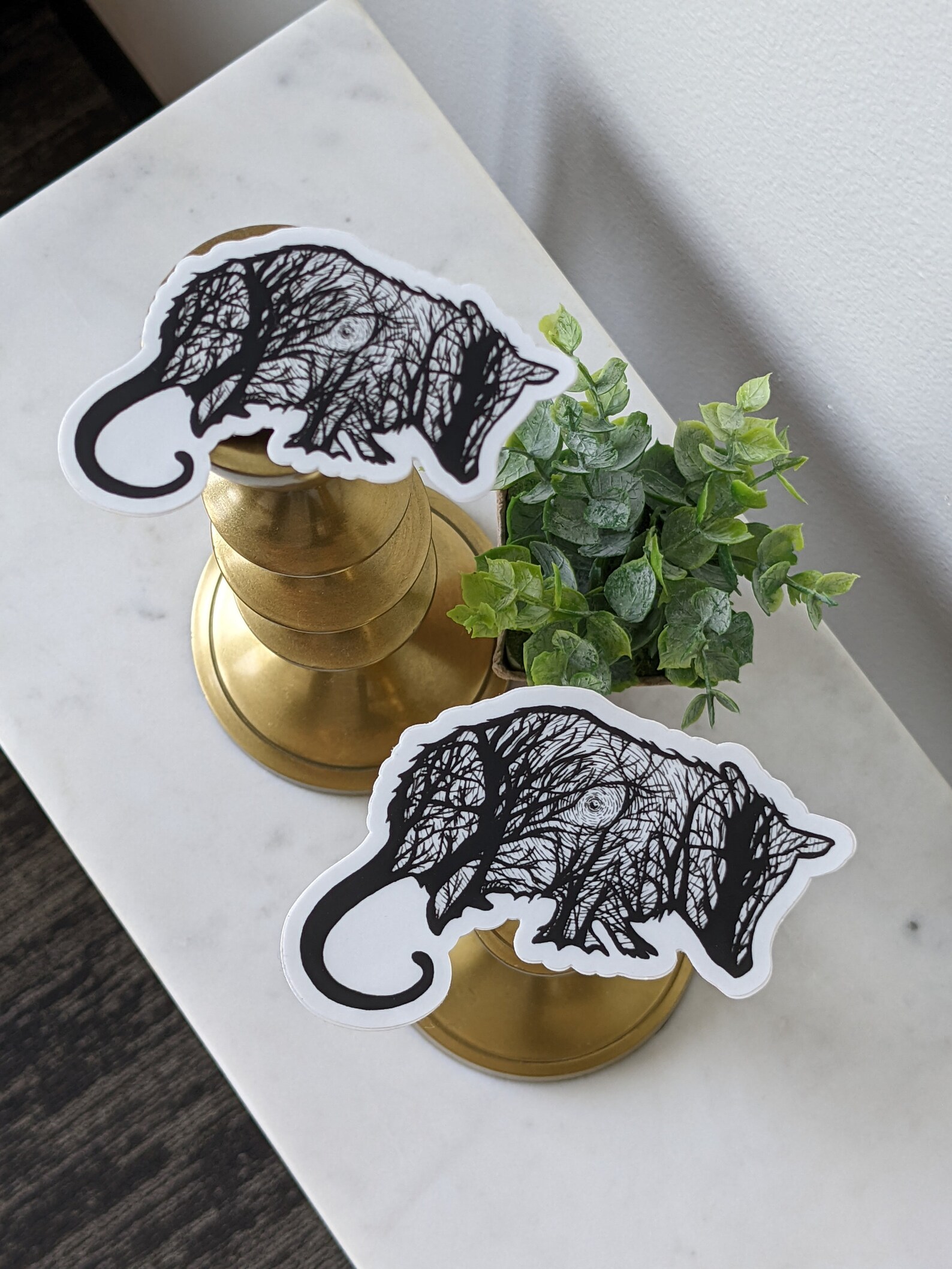 Opossum Vinyl Sticker - Etsy