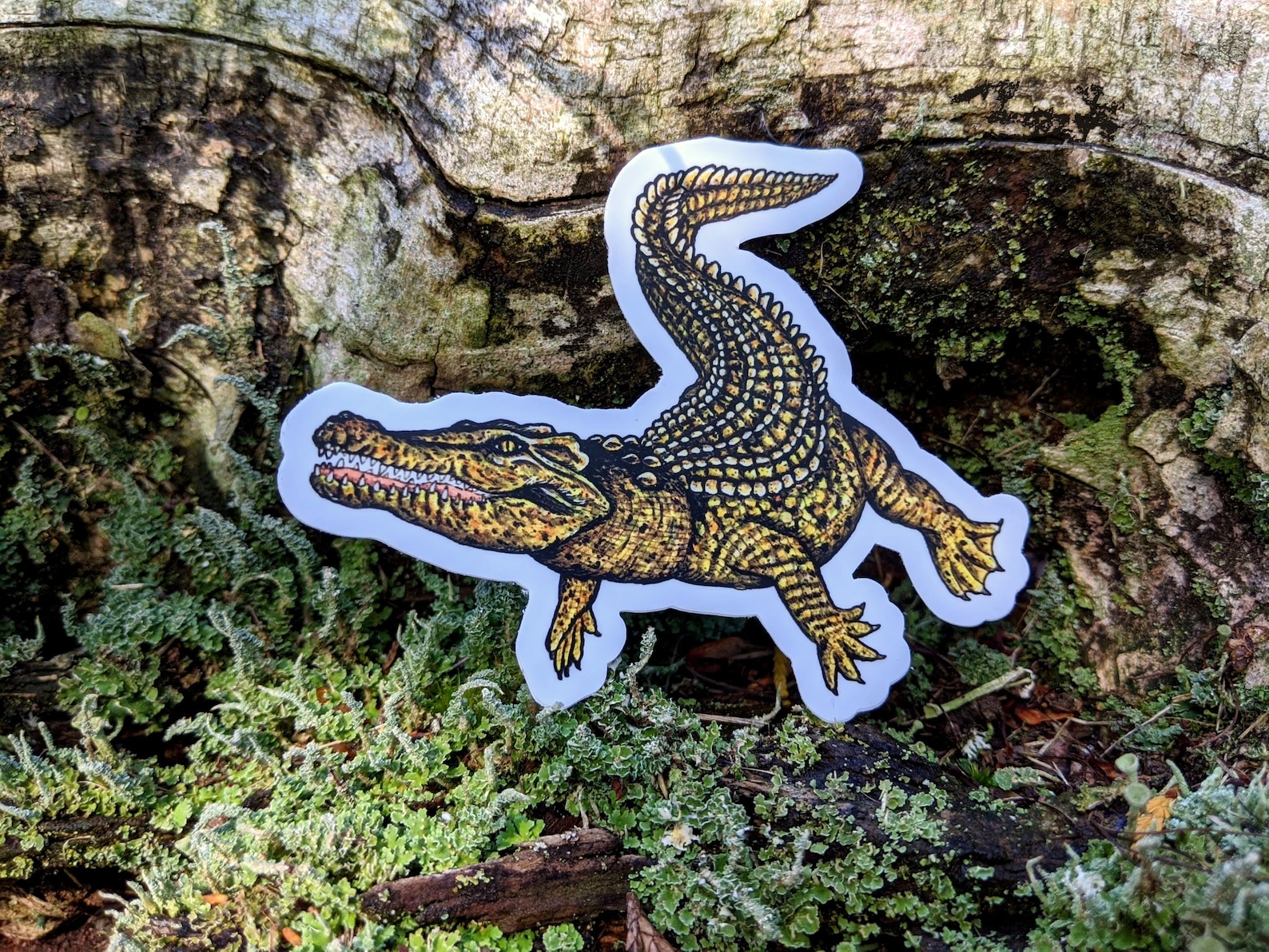 Alligator Vinyl Sticker | Etsy