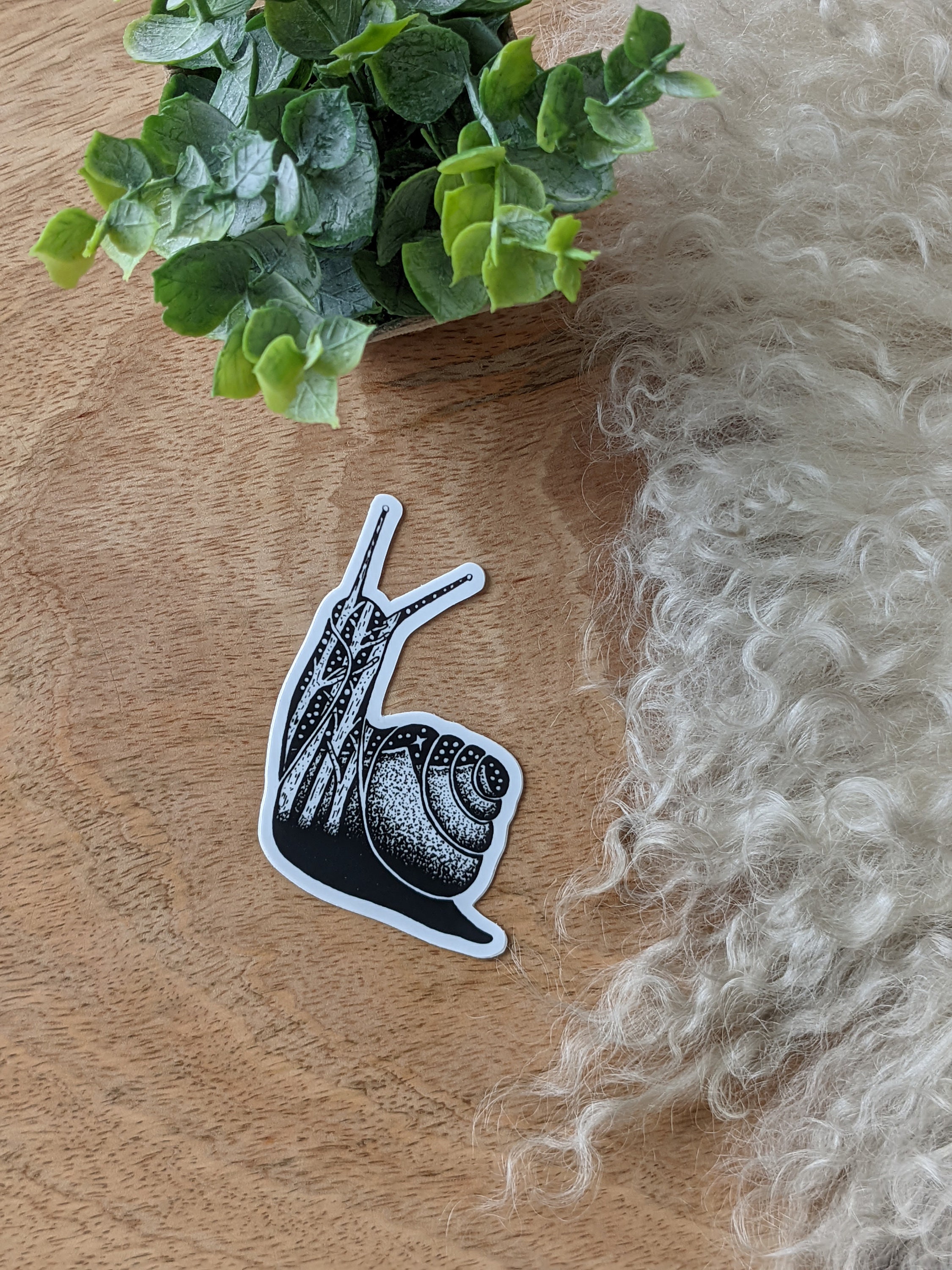 Snail Vinyl Sticker - Etsy