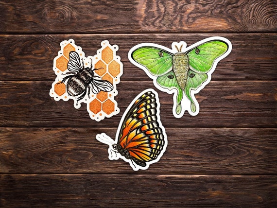 Pollinator Vinyl Sticker Collection Singles or Bundle of 3 | Etsy