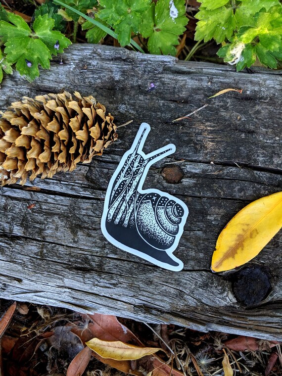 Snail Vinyl Sticker | Etsy