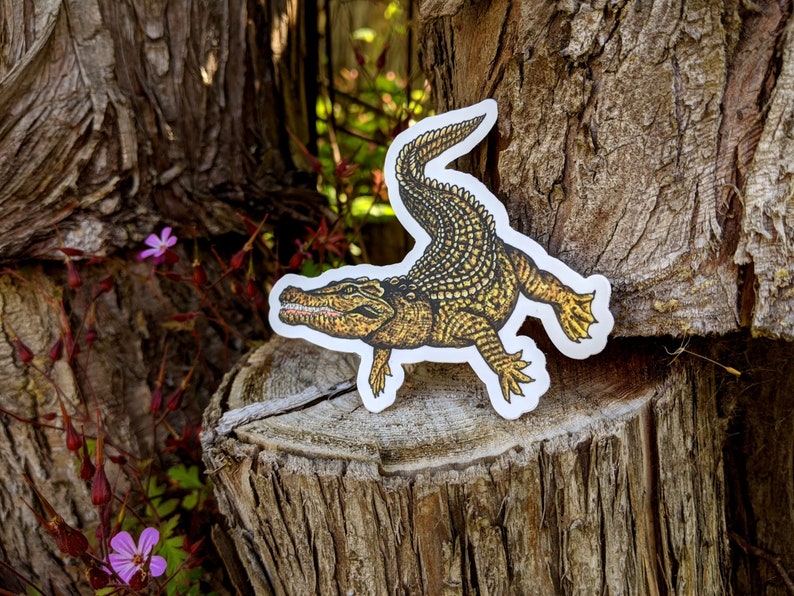 Alligator Vinyl Sticker albino Variant - Etsy