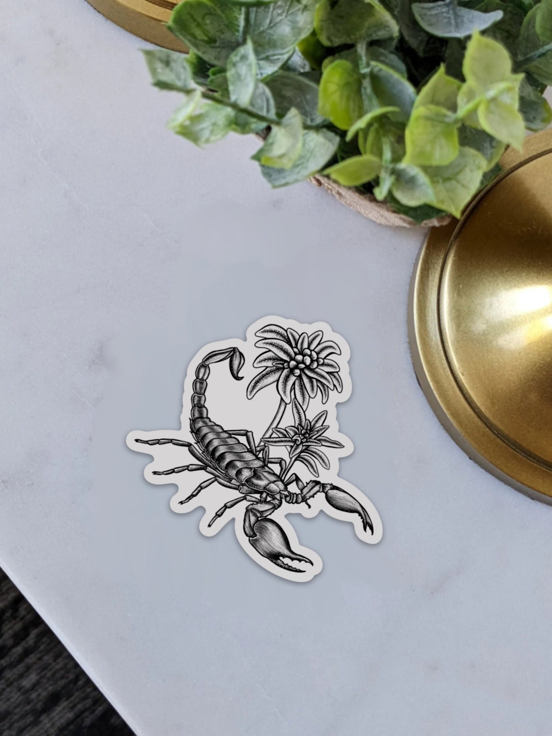Scorpion With Edelweiss Vinyl Sticker - Etsy