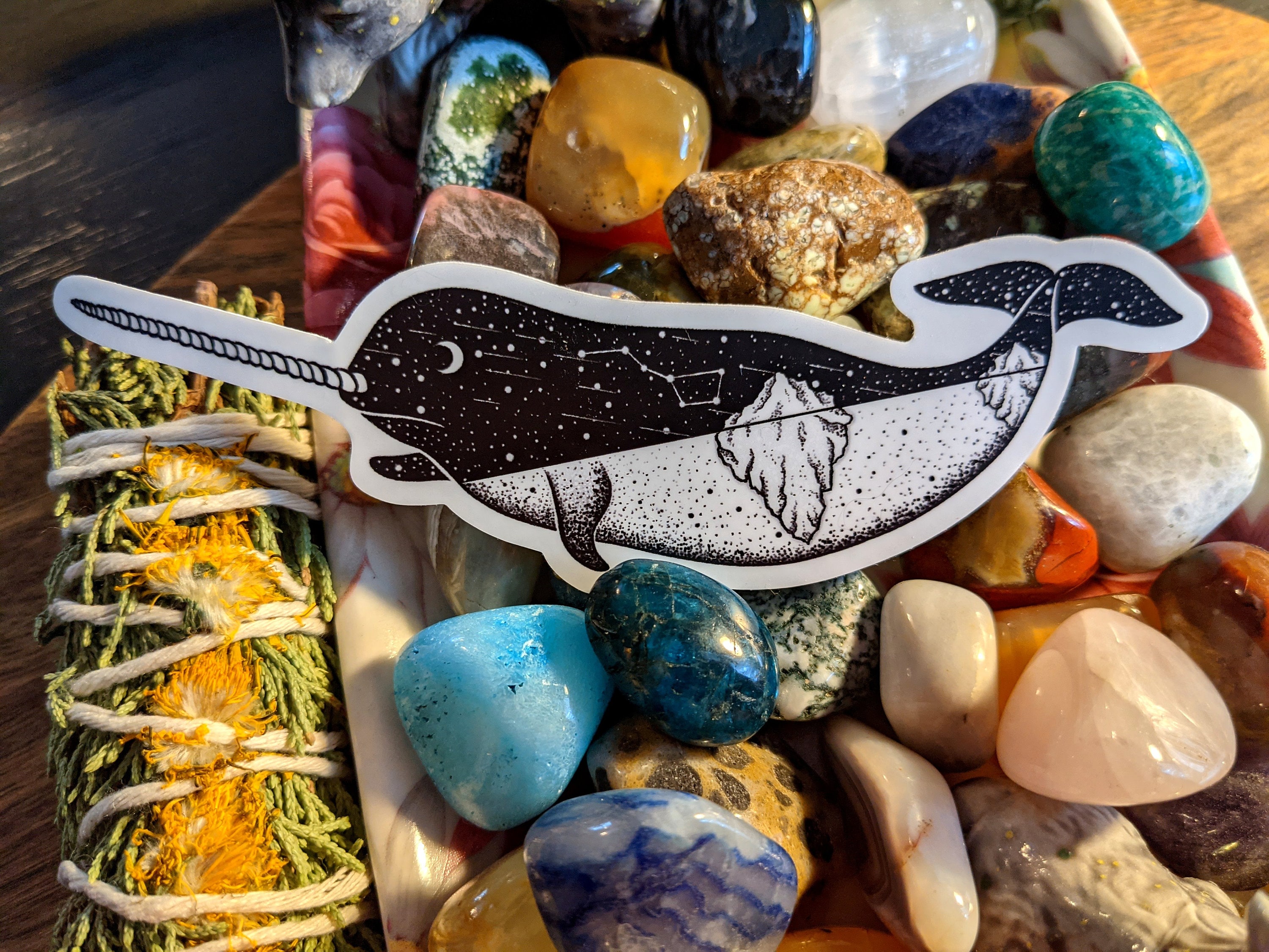 Narwhal Vinyl Sticker - Etsy