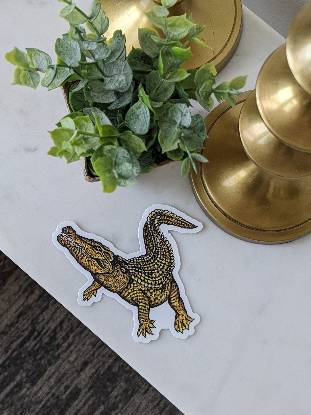 Alligator Vinyl Sticker (albino Variant) - Etsy