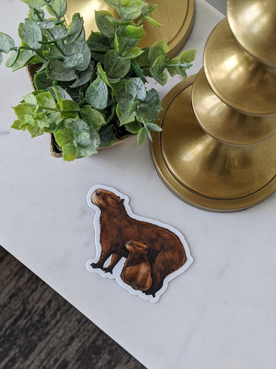 Capybara Vinyl Sticker - Etsy