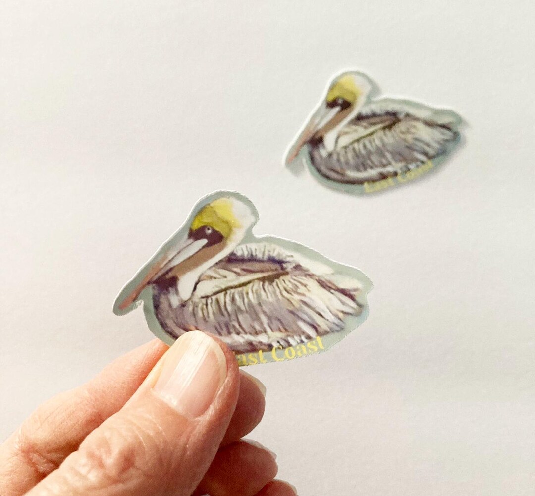 Pelican Sticker Set Beach Bird Decal Beach Stickers - Etsy