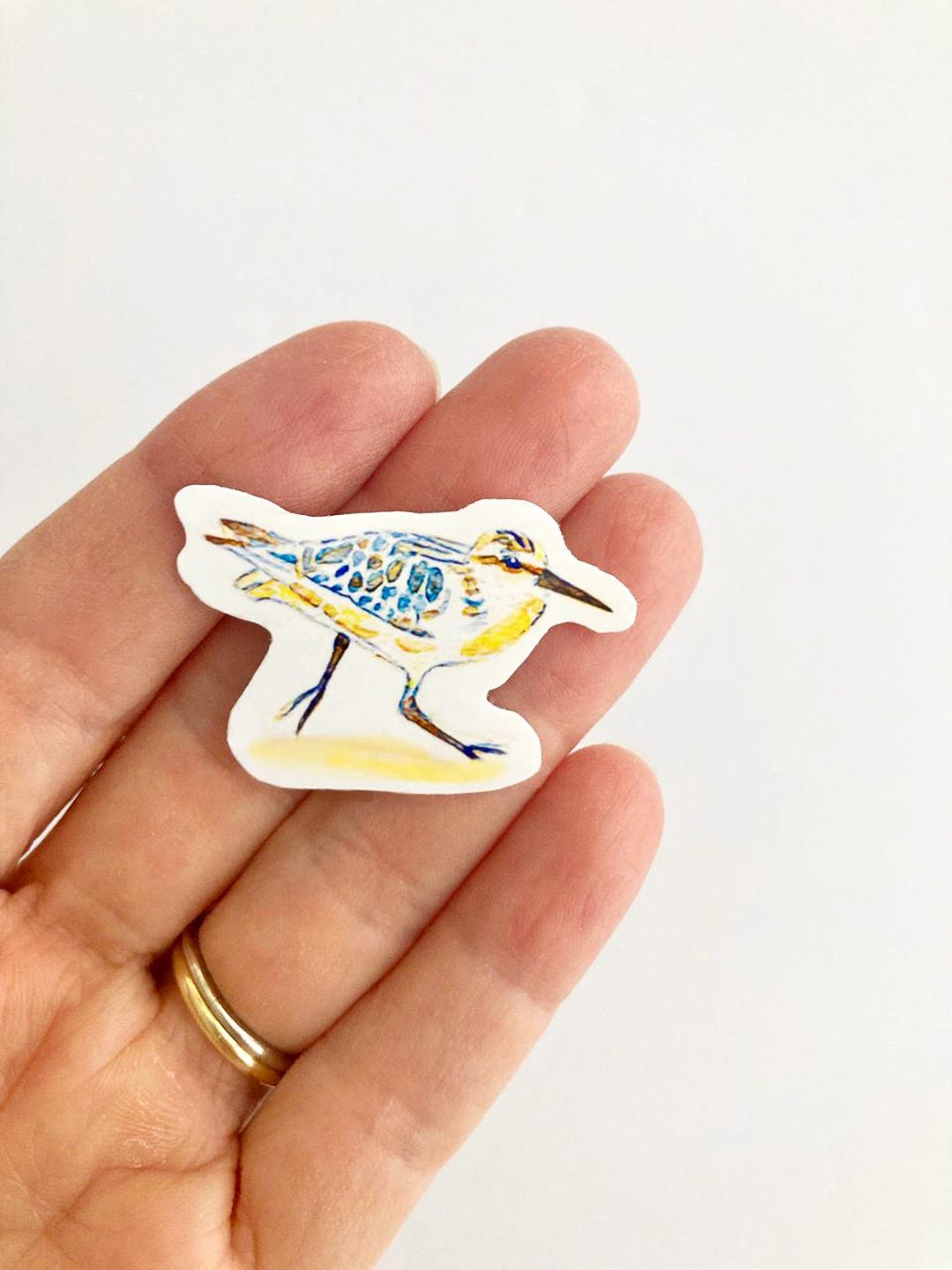 Sandpiper Sticker Set, Watercolor Bird Decal, Beach Stickers - Etsy