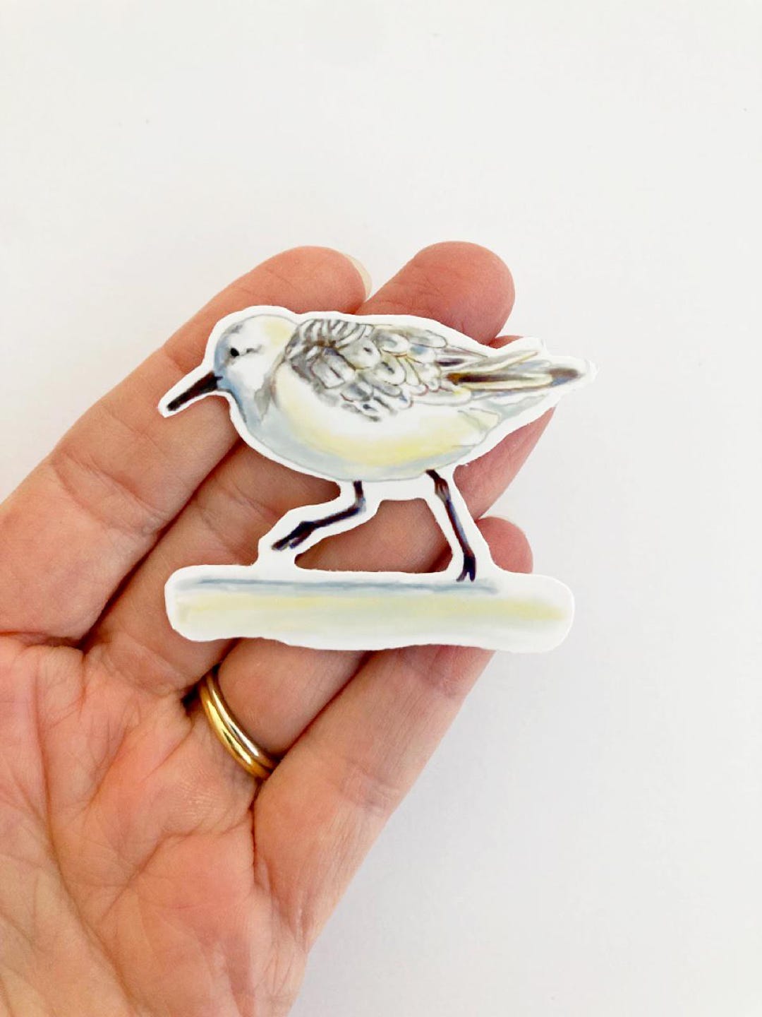 Sandpiper Sticker Set Piping Plover Laptop Water Bottle Bird Stickers ...