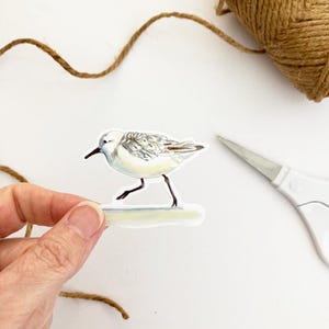 Sandpiper Sticker Set Piping Plover Laptop Water Bottle Bird Stickers ...