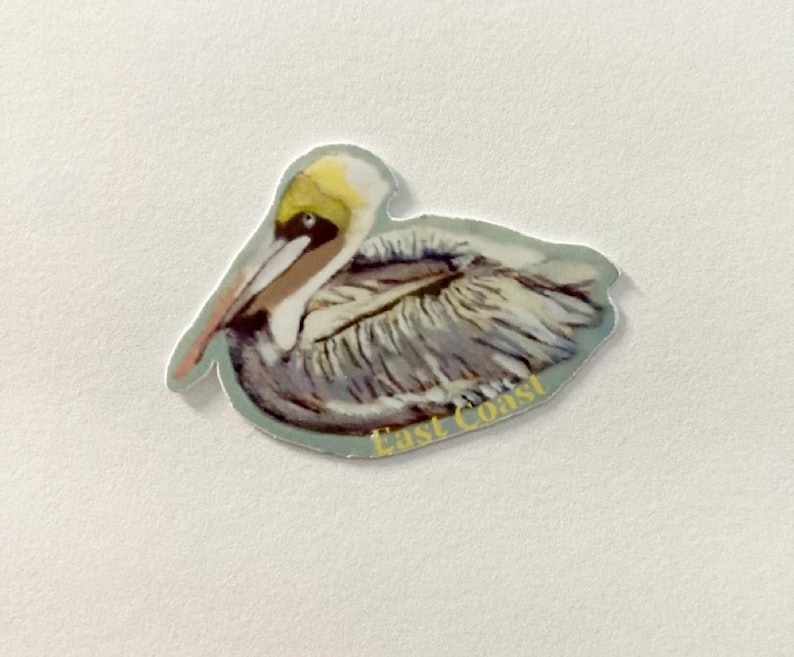Pelican Sticker Set Beach Bird Decal Beach Stickers - Etsy