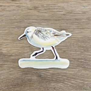 Sandpiper Sticker Set Piping Plover Laptop Water Bottle Bird Stickers ...