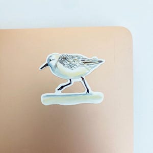 Sandpiper Sticker Set Piping Plover Laptop Water Bottle Bird Stickers ...