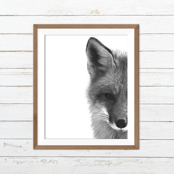 White Fox - Etsy
