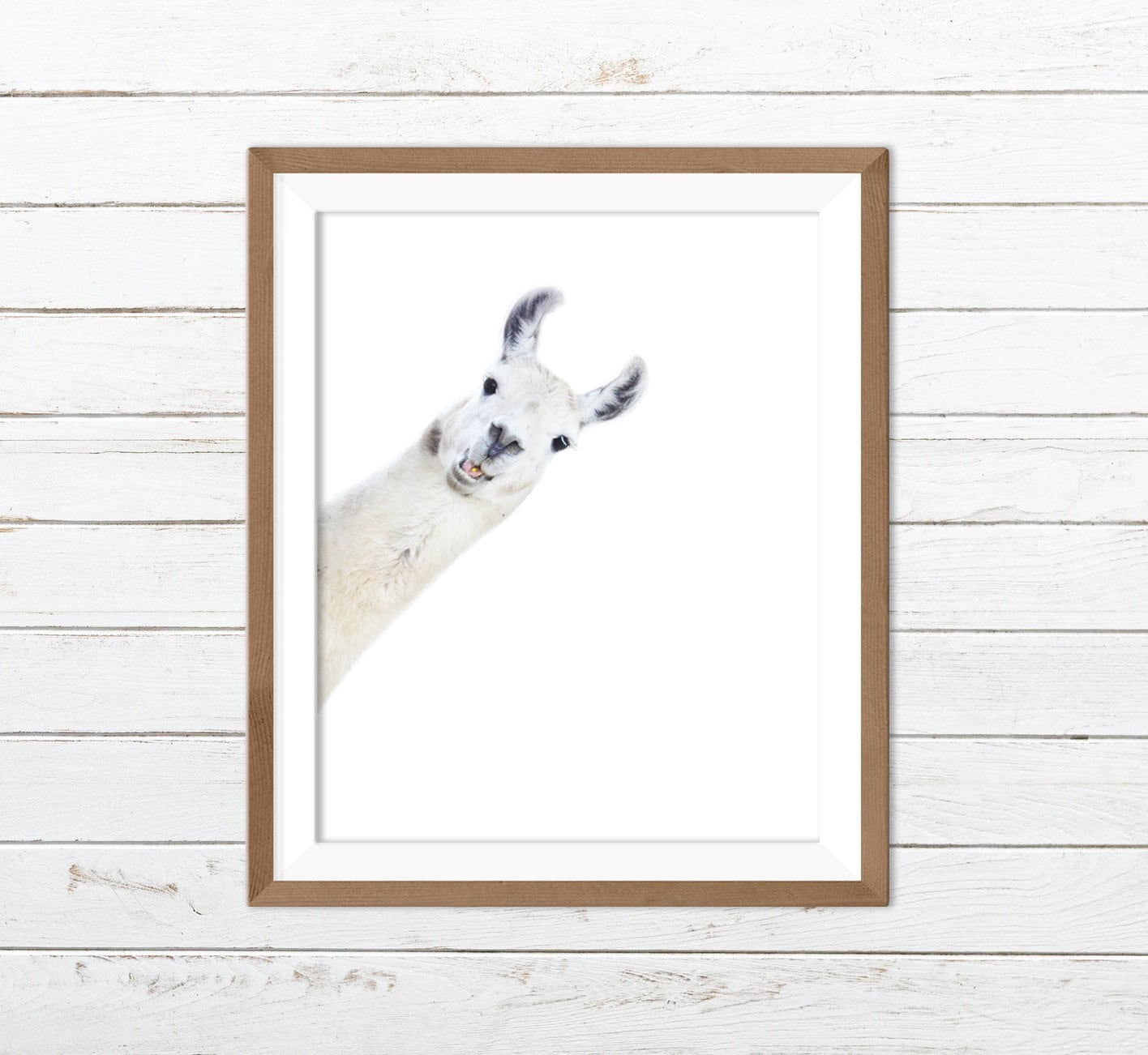 Llama Print Funny Animal Prints | Etsy