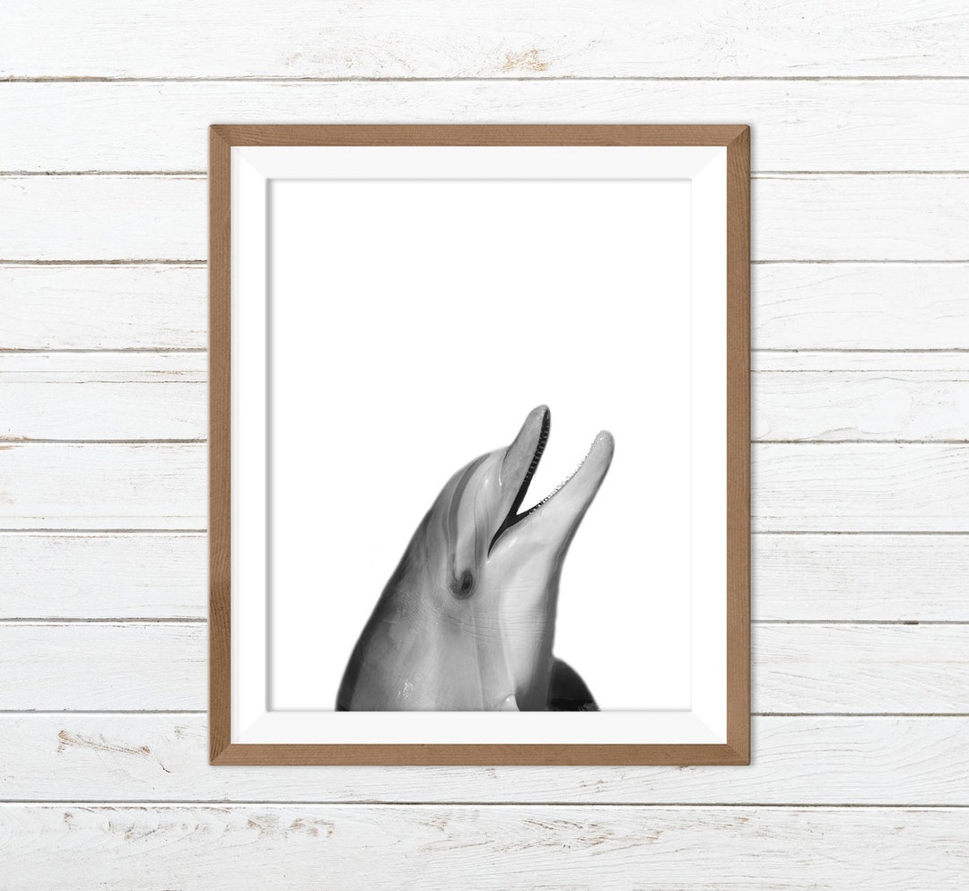 Dolphin Printable, Dolphin Print, Fish Print, Fish Printable, Sea ...