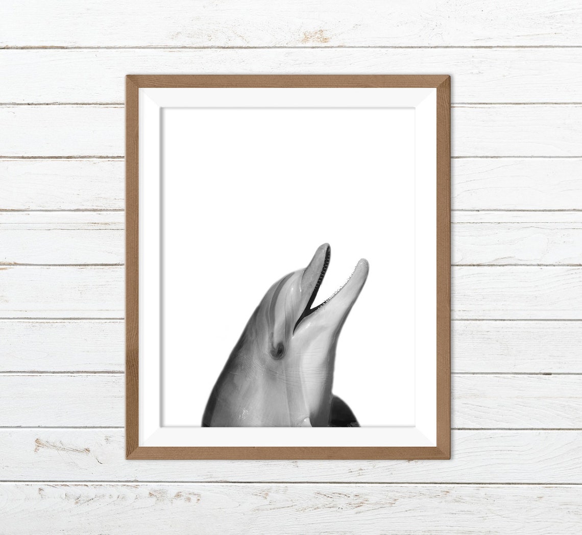 Dolphin Printable, Dolphin Print, Fish Print, Fish Printable, Sea ...