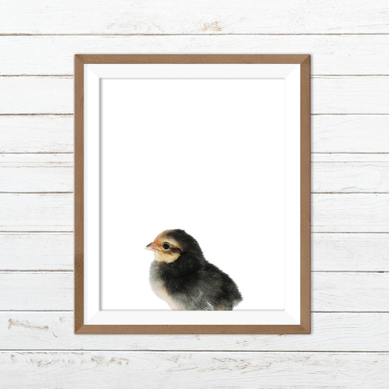 Chick Print - Etsy