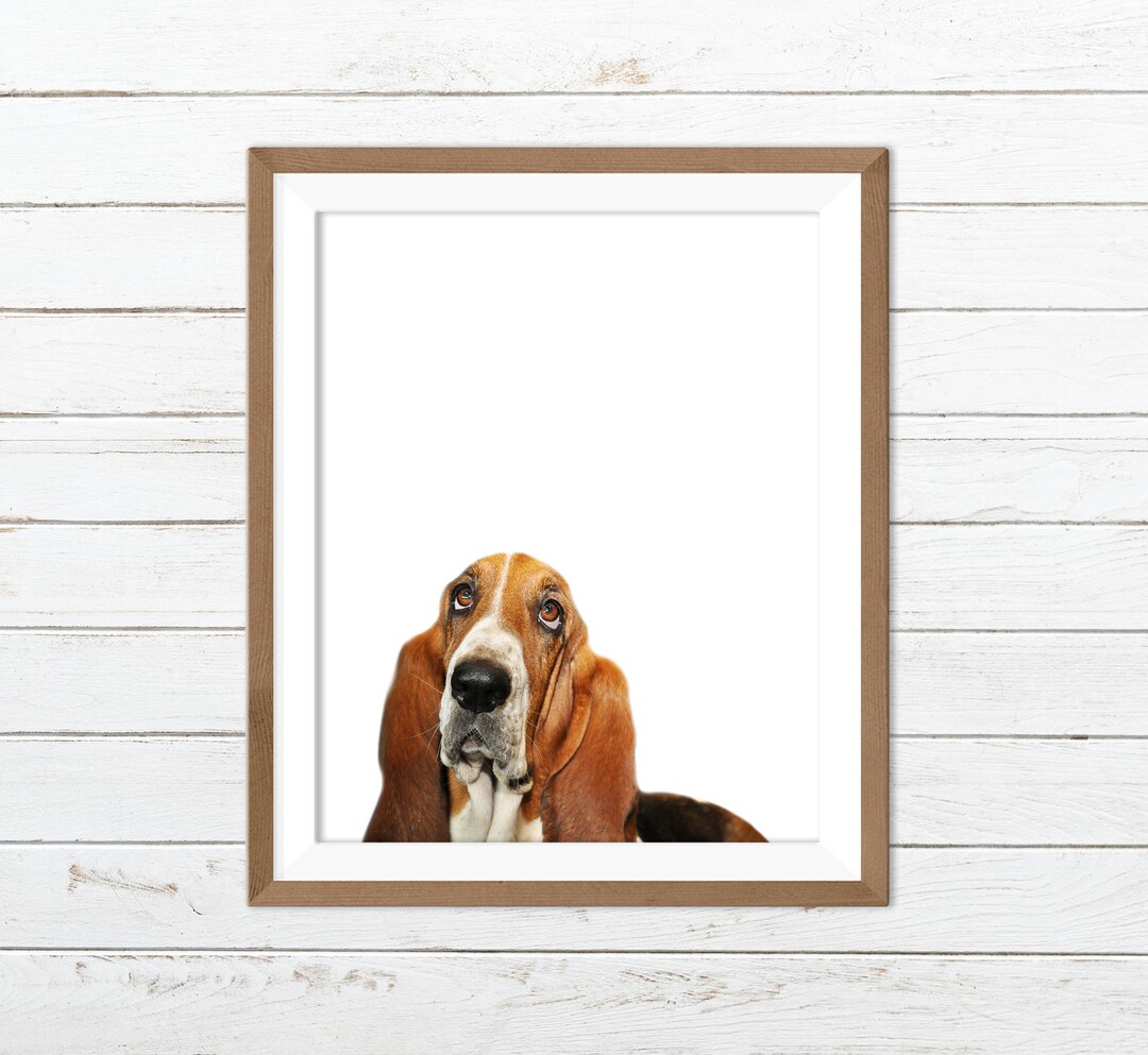 Hound Print, Funny Dog Prints, Funny Animal Prints - Etsy