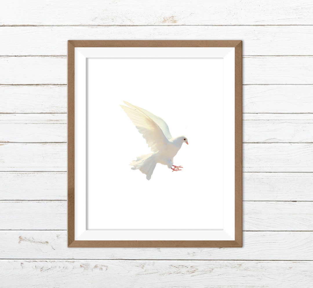 Dove Print Dove Printable Dove Wall Decor Bird Print - Etsy