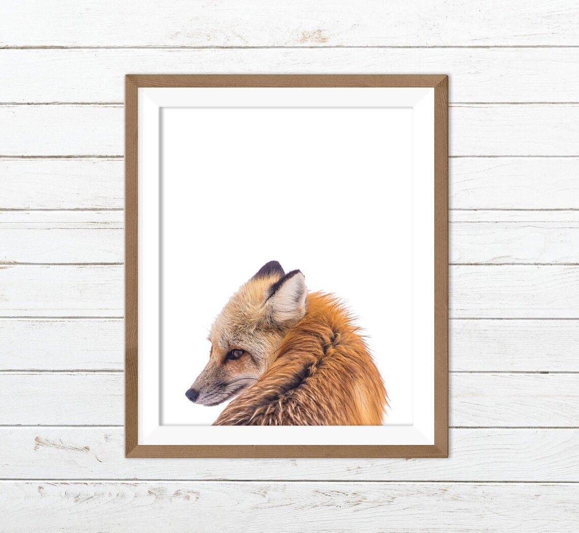 Fox Printable Fox Print Forest Printable - Etsy