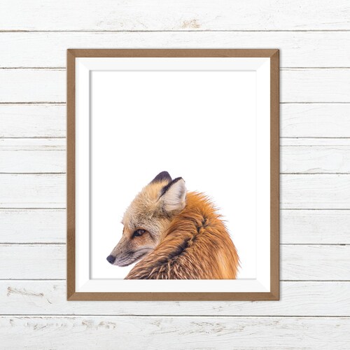 Red Fox Print Fox Printable Forest Print Woodland Animal - Etsy