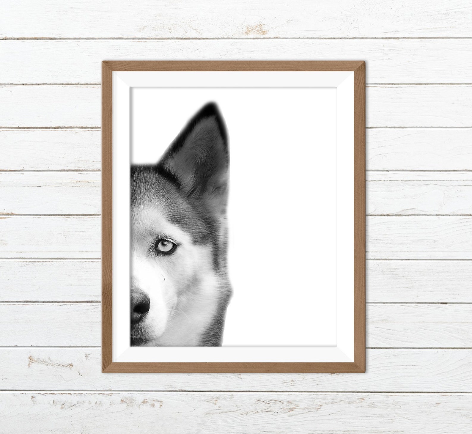 Husky Print Husky Wall Art Black and White Dog Print - Etsy