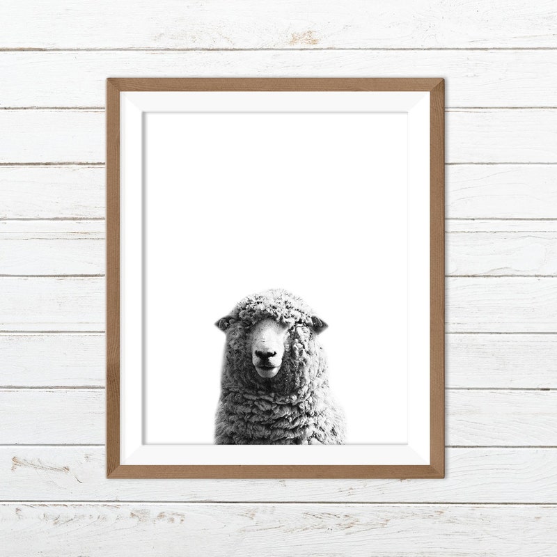 Sheep Wall Art - Etsy