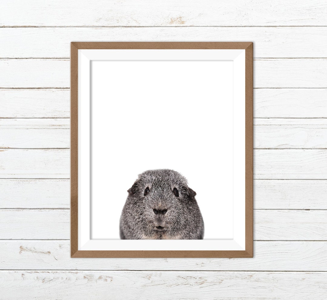 Guinea Pig Print, Guinea Pig Printable, Guinea Pig Wall Art, Mouse ...