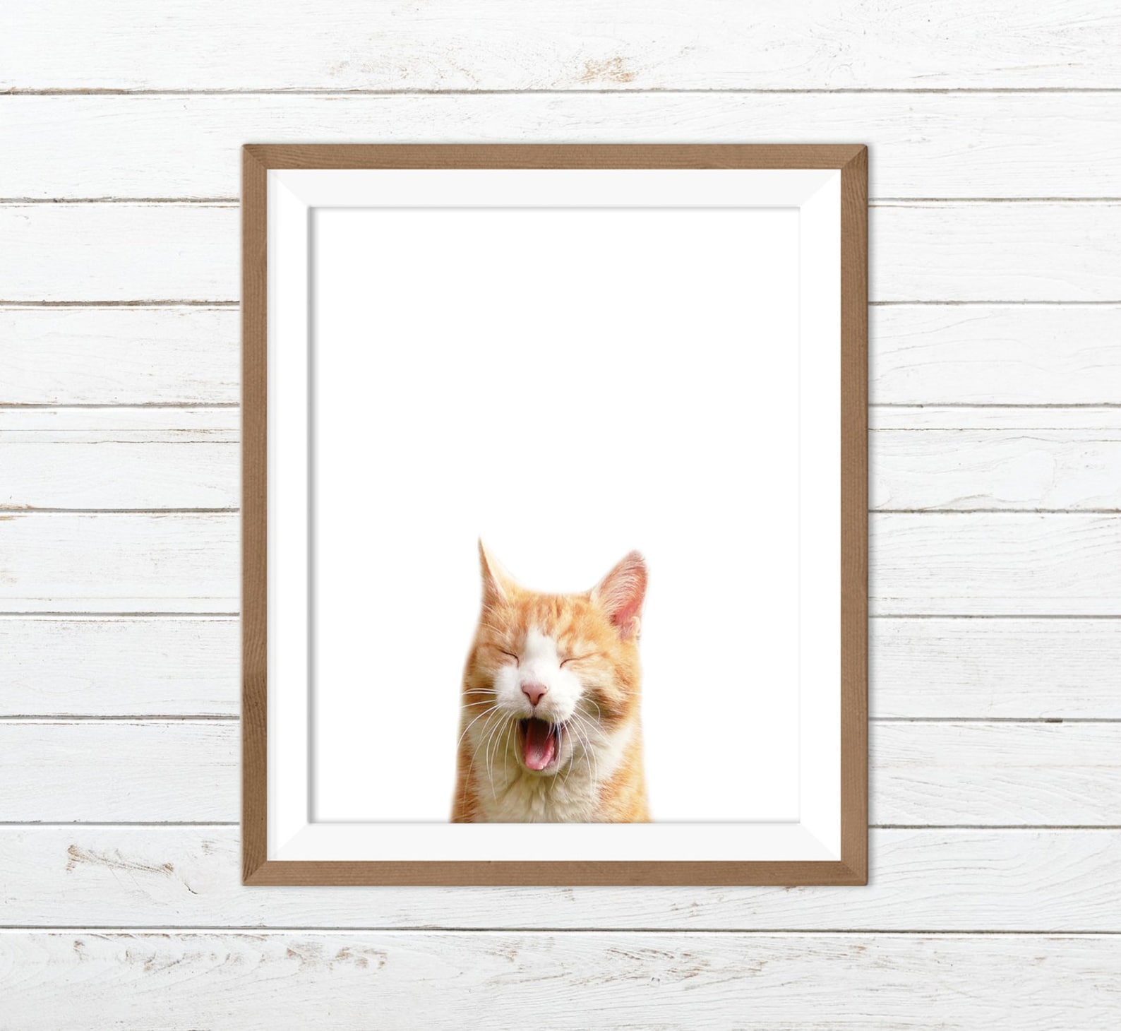 Funny Cat Print Funny Cat Wall Art Cat Printable - Etsy