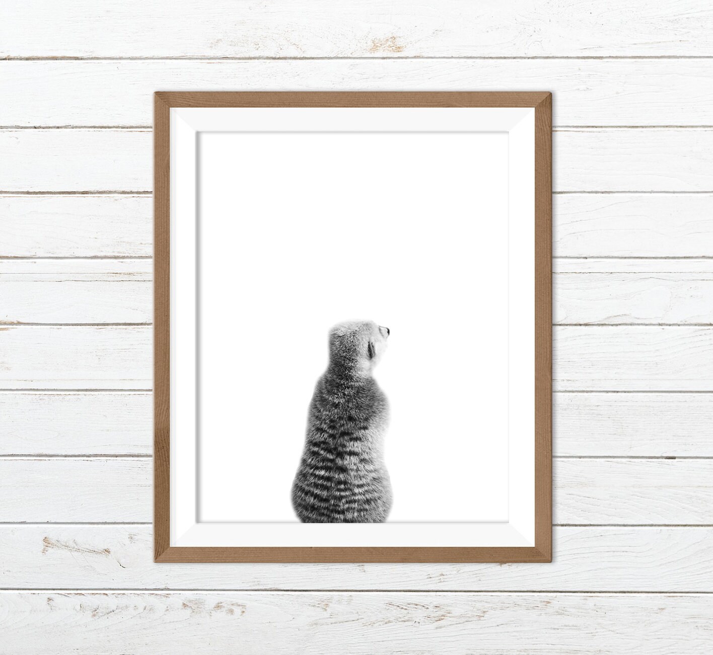 Meerkat Wall Art, Meerkat Print, Black and White Animal Print - Etsy