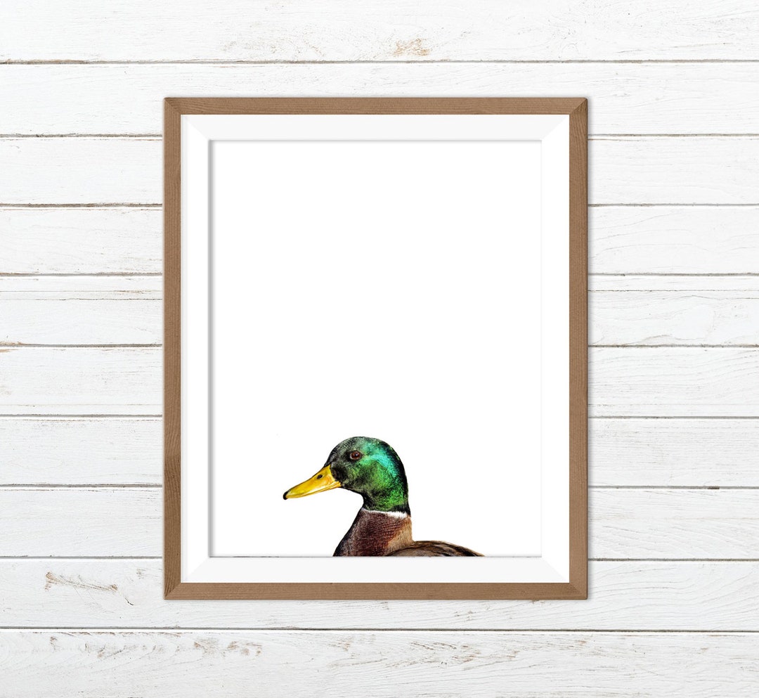 Duck Print, Duck Printable, Funny Animal Print - Etsy