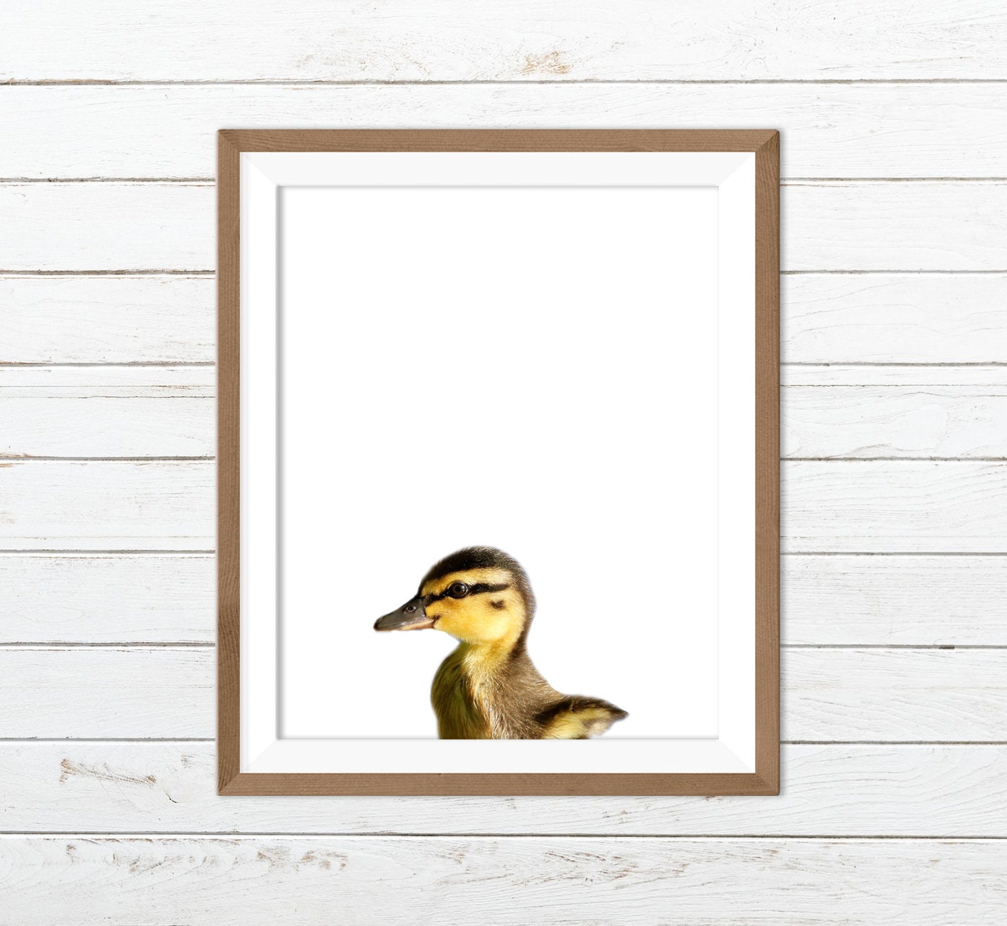 Duckling Print Baby Duck Print - Etsy UK