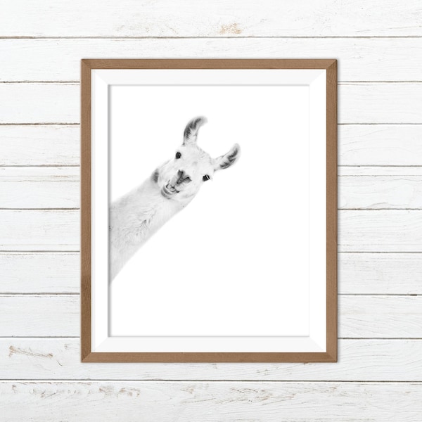 Llama Print - Etsy