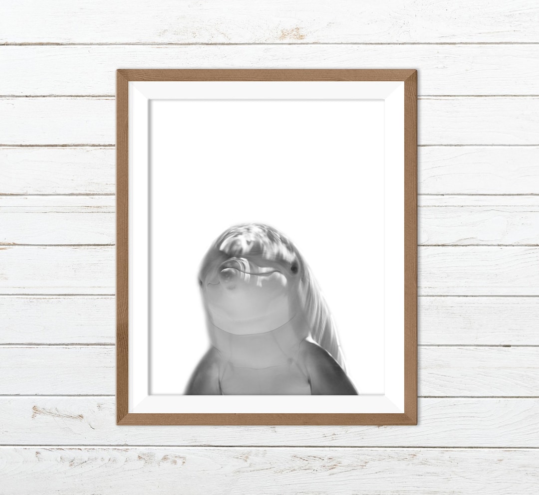 Dolphin Printable, Dolphin Print, Dolphin Wall Art, Dolphin Wall Decor ...