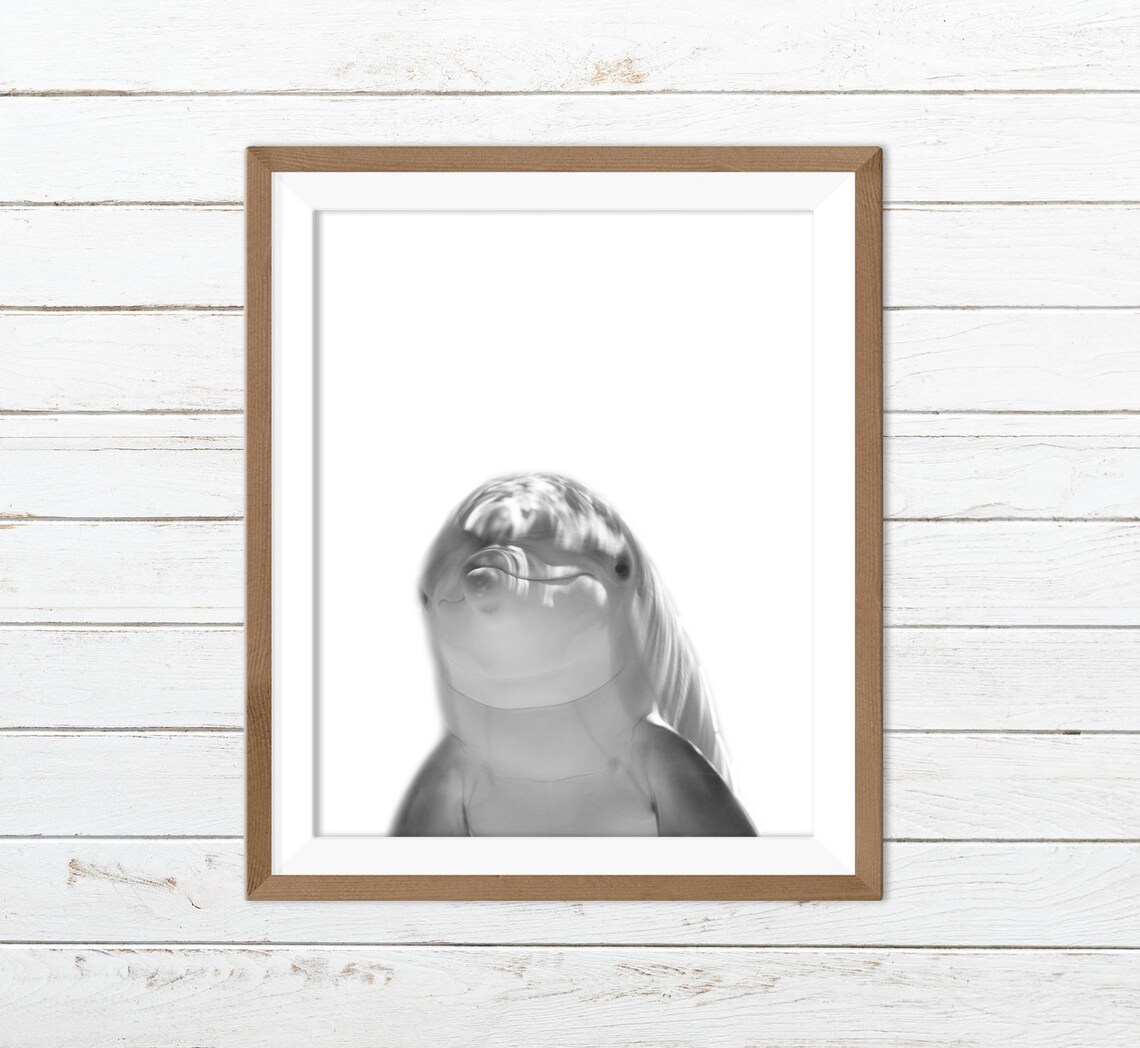 Dolphin Printable Dolphin Print Dolphin Wall Art Dolphin | Etsy
