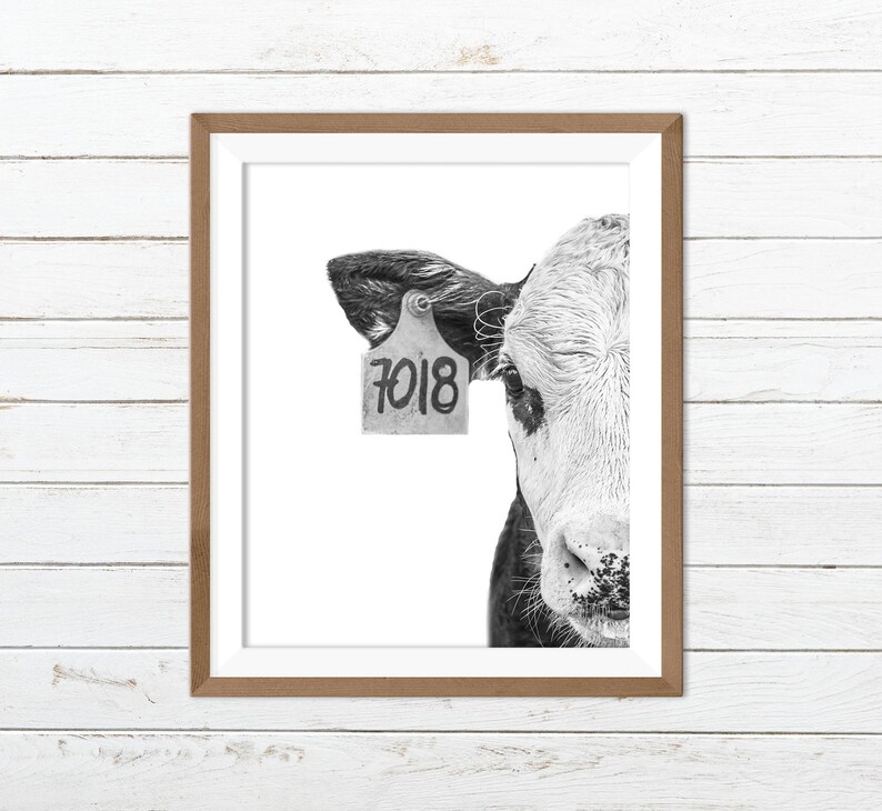 Black and White Cow Print - Etsy