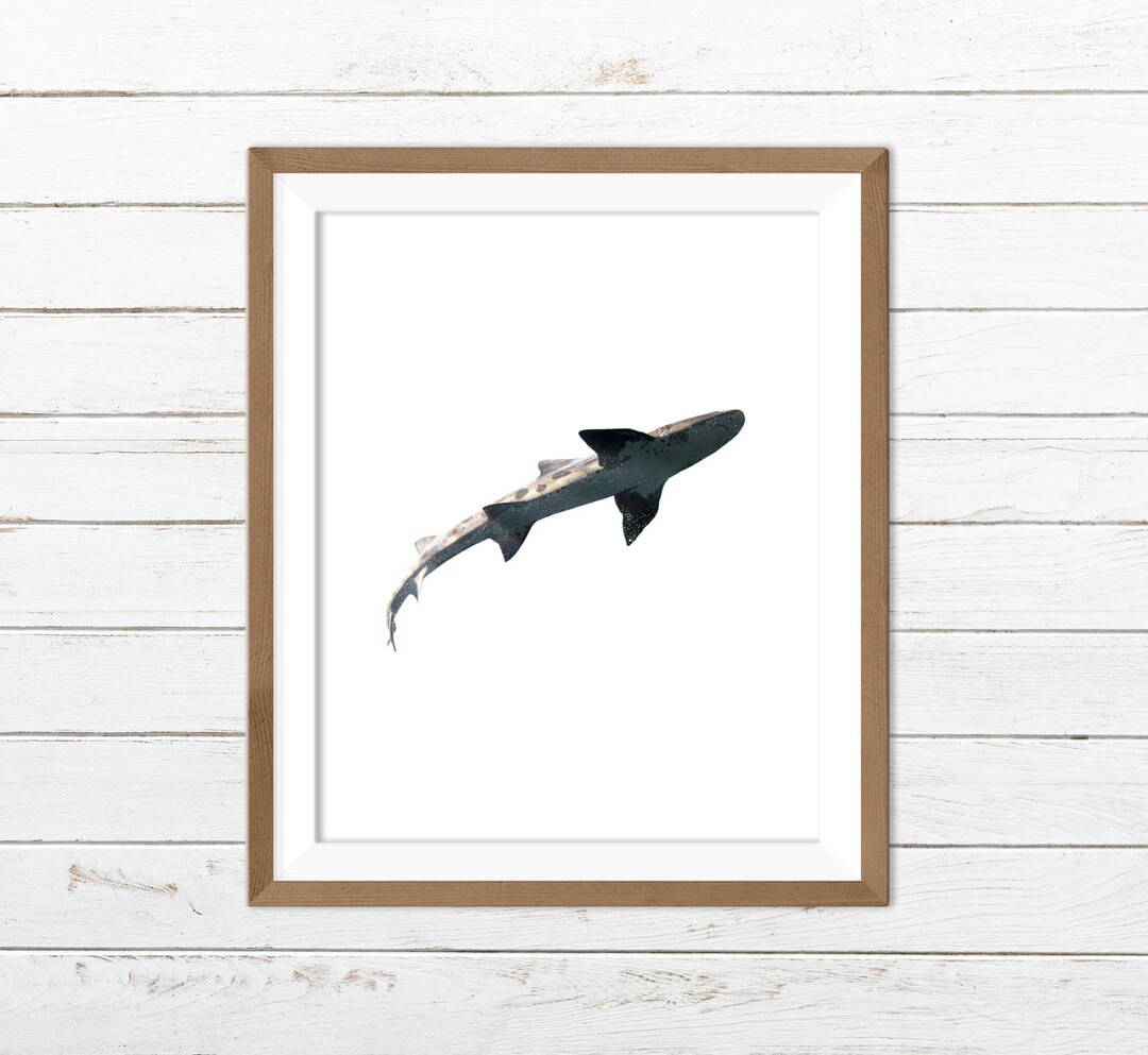 Shark Print, Shark Printable, Shark Wall Art - Etsy