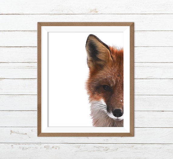 Red Fox Print Fox Printable Forest Print Woodland Animal | Etsy