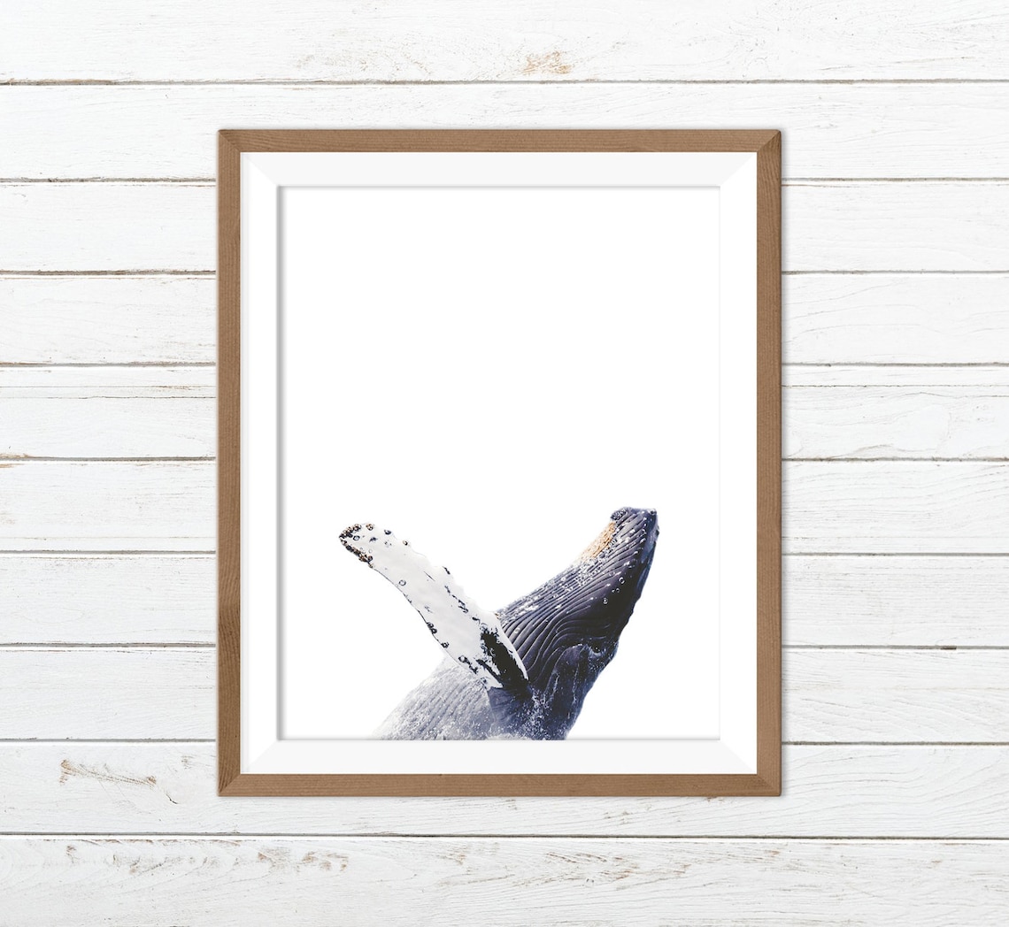 Whale Print, Whale Printable, Whale Wall Art - Etsy