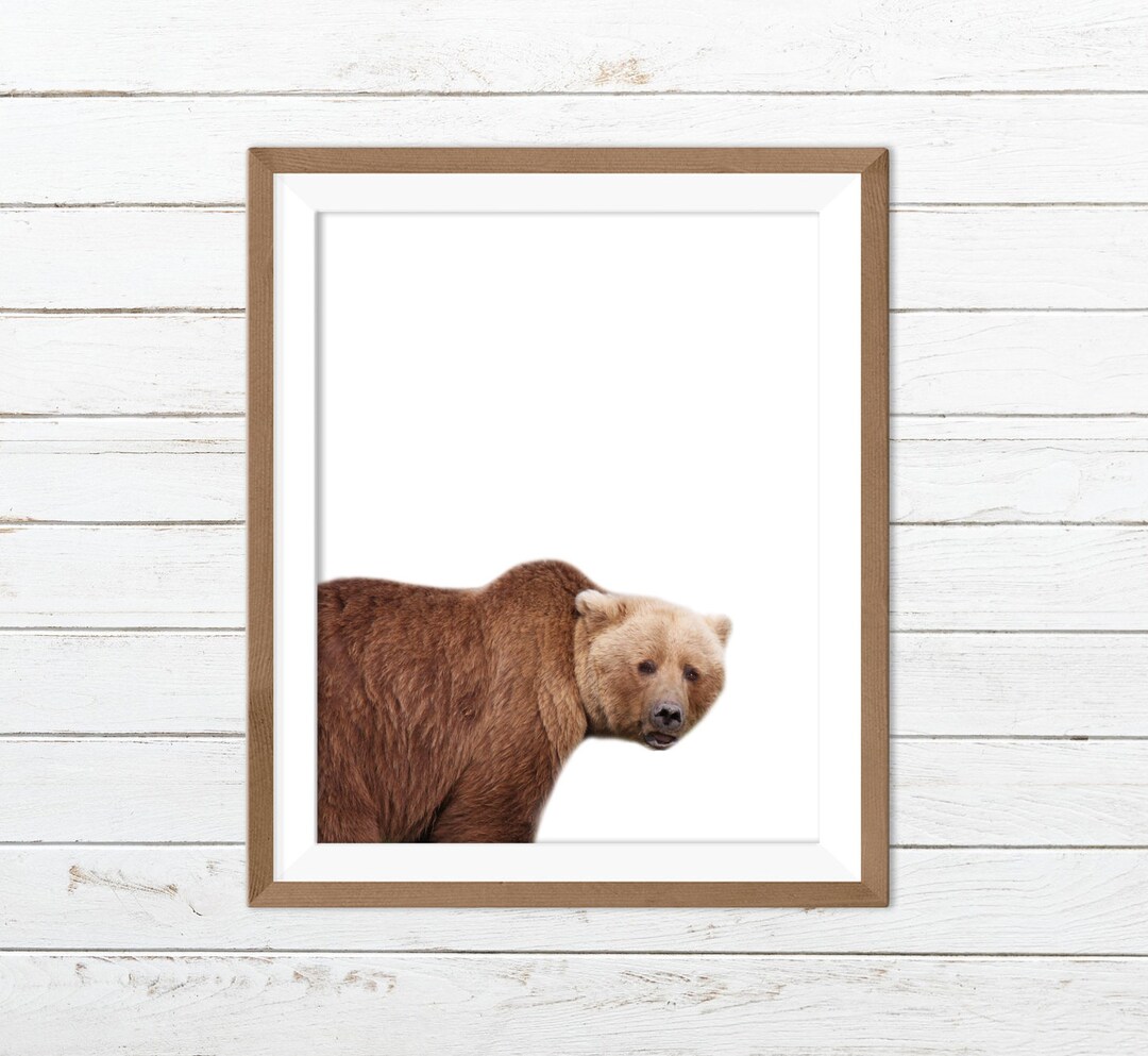 Brown Bear Print, Bear Printable, Bear Wall Art, Funny Animal Print - Etsy