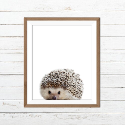 Printable Hedgehog Nursery Art. Hedgehog Print. Hedgehog - Etsy