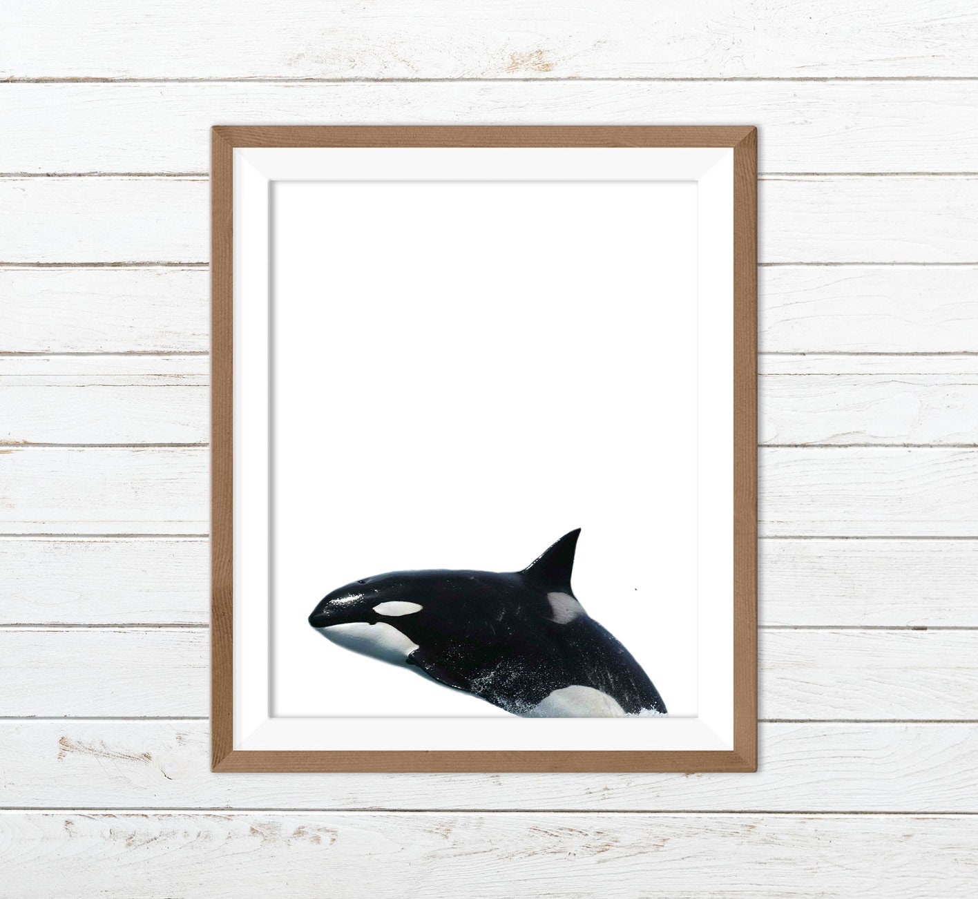 Killer Whale Print, Killer Whale Art, Whale Printable - Etsy