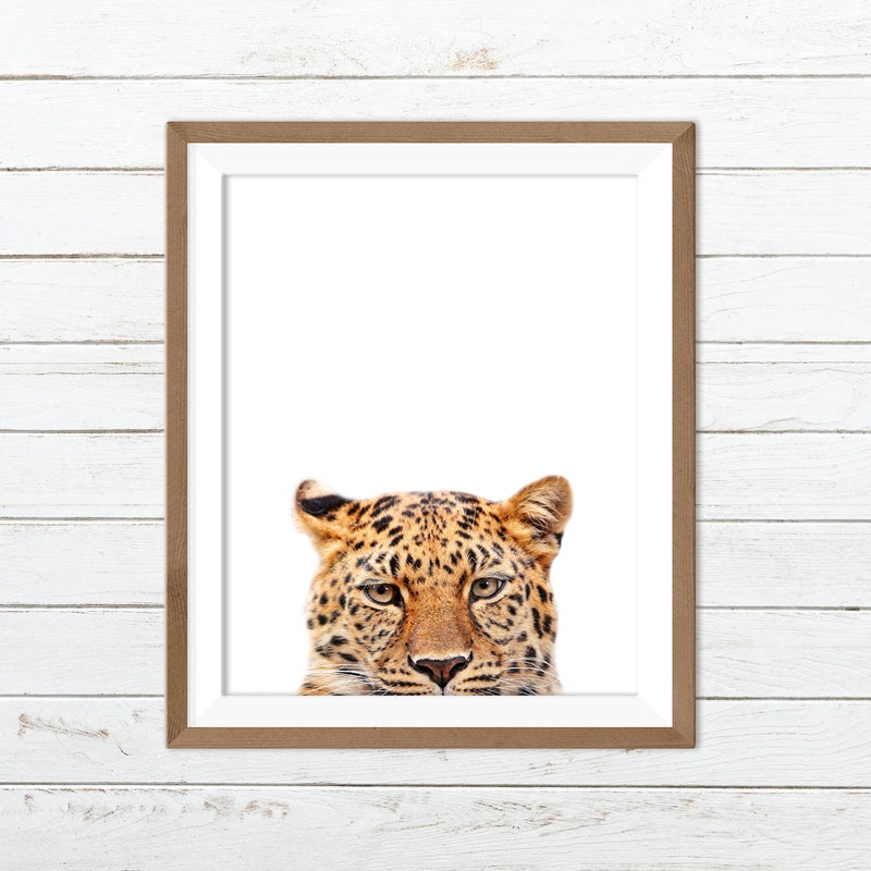 Peek a Boo Jungle - Etsy