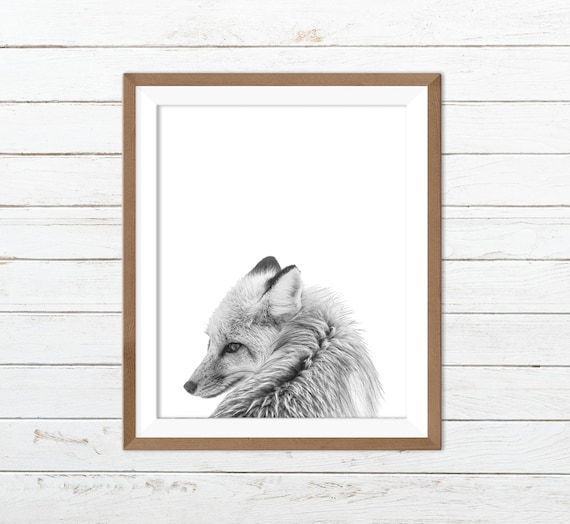 Fox Printable Fox Print Fox Wall Art Fox Print Art - Etsy