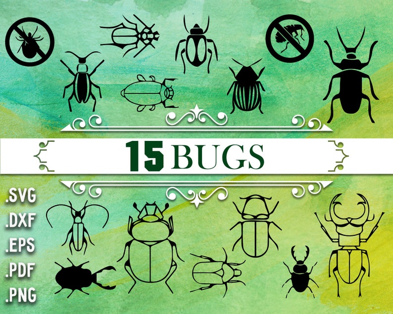 BUGS SVG, Beetle Svg, Insect Svg, Bug Svg, Nature Svg, Lightning Bug ...